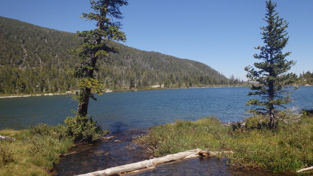Timberline Lake- Beartooth Mountains | MTHikes.com