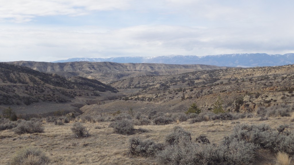 Weatherman Draw- Pryor Mountains | MTHikes.com