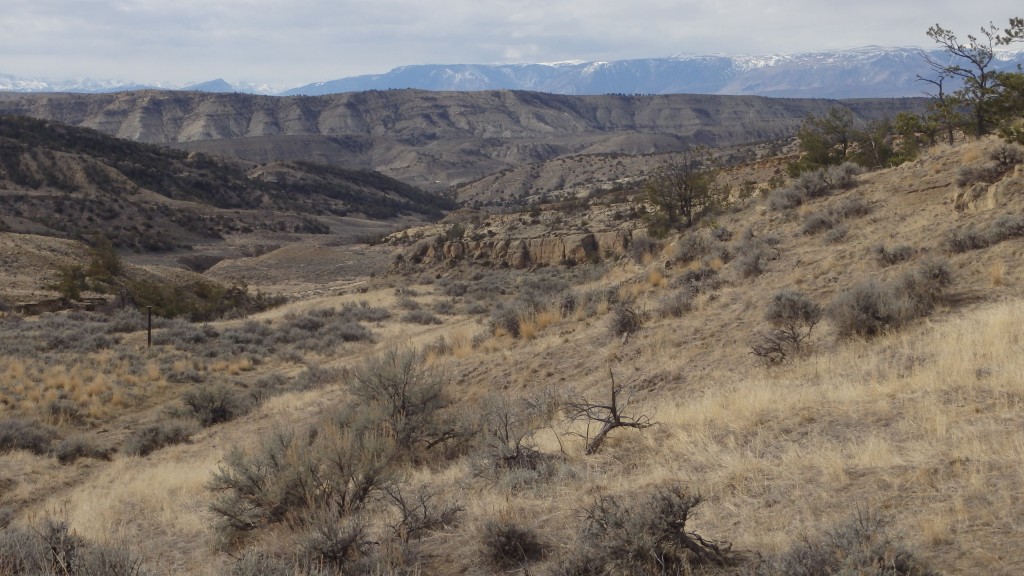 Cottonwood Road BLM