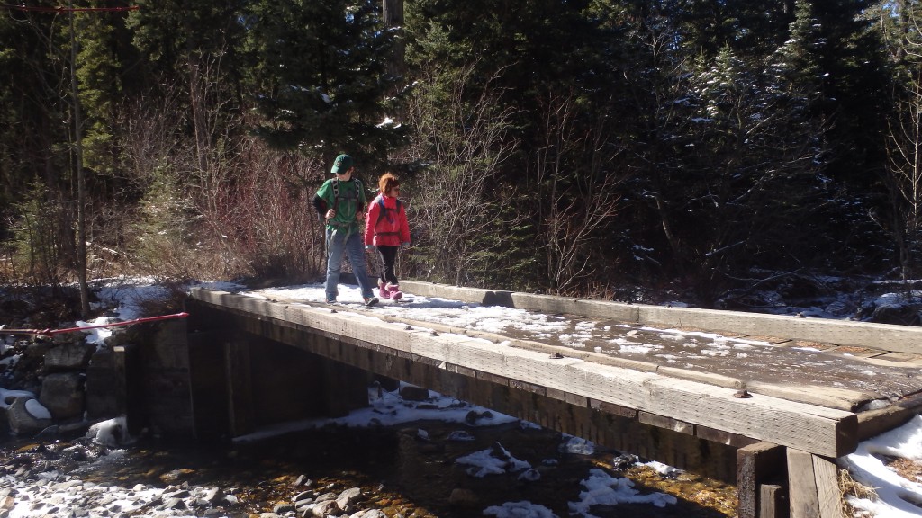 Bridge over Pine Creek | MTHikes.com