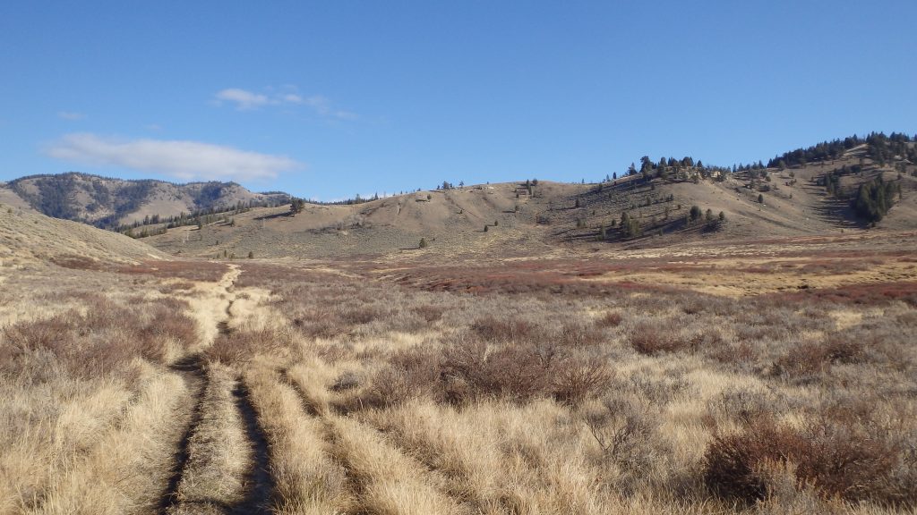 Tepee Pass- Yellowstone National Park | MTHikes.com