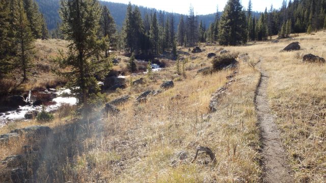 Bacon Rind Creek- Yellowstone National Park | MTHikes.com