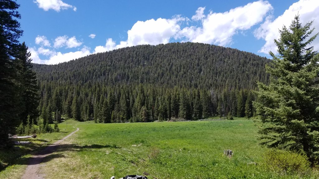 History Rock Trail: Gallatin Range | MTHikes.com