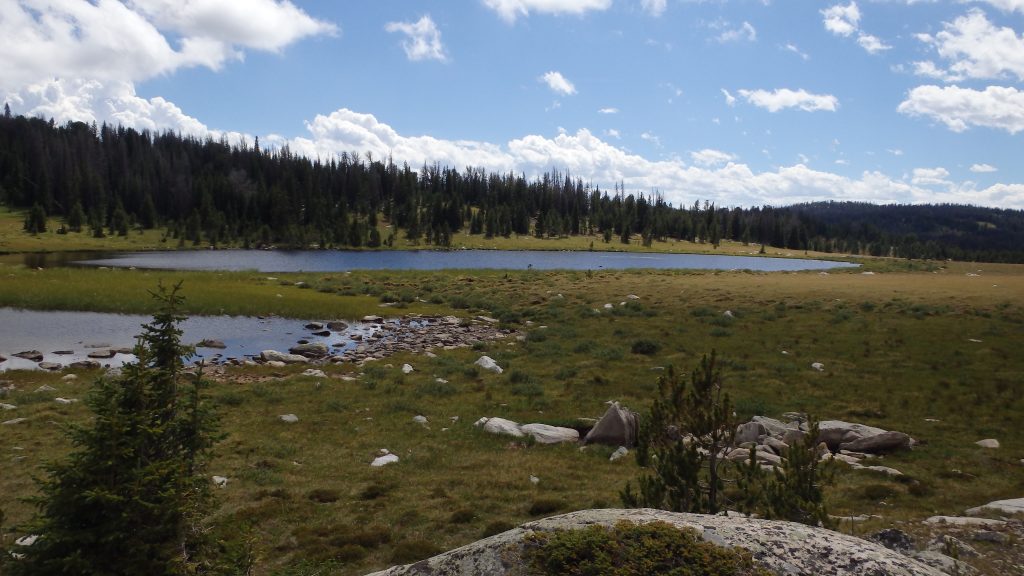 The Beartooth Recreational Trail: Beartooth Mountains | MTHikes.com